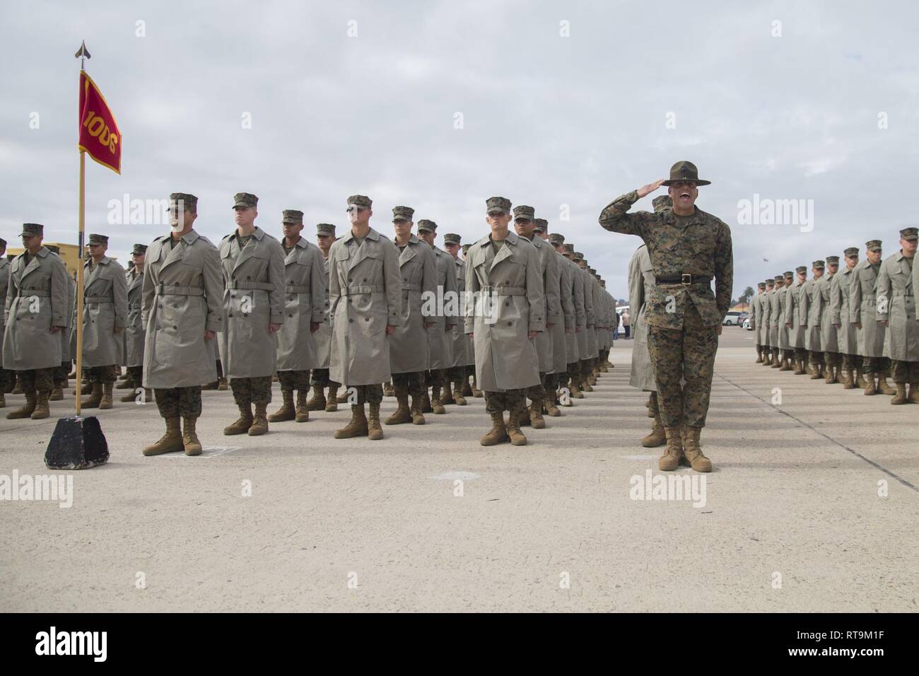 The new Marines of Alpha Company, 1st Recruit Training Battalion ...