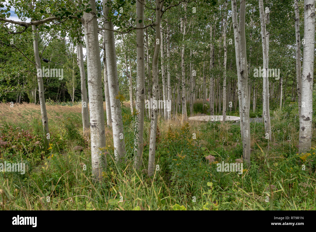Reford gardens canada hi-res stock photography and images - Alamy