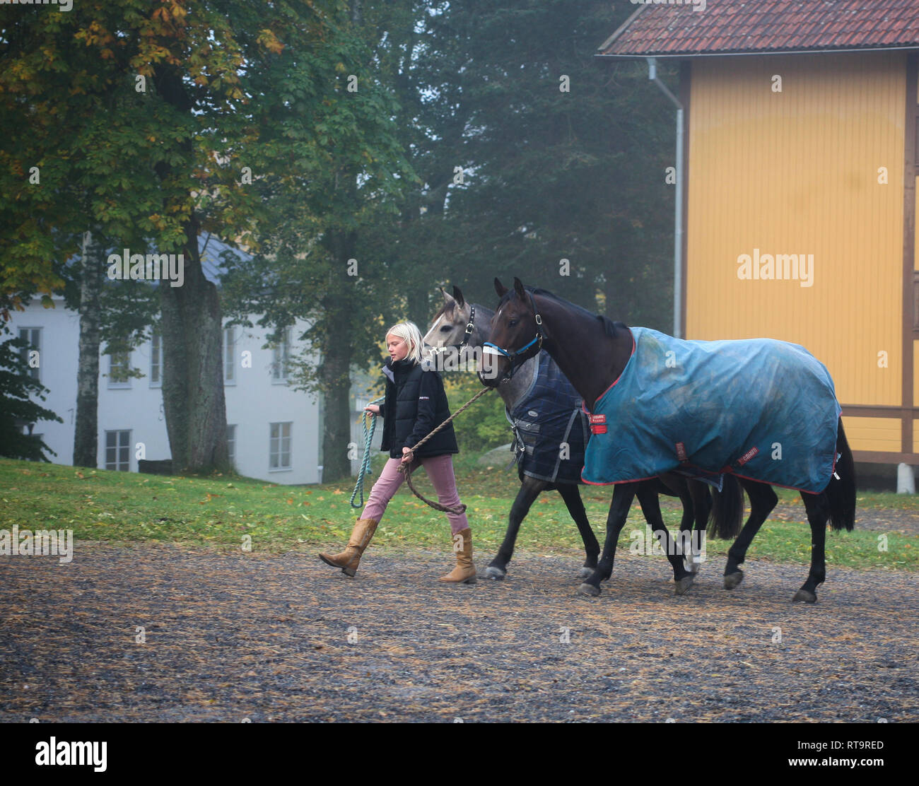 Leades hi-res stock photography and images - Alamy