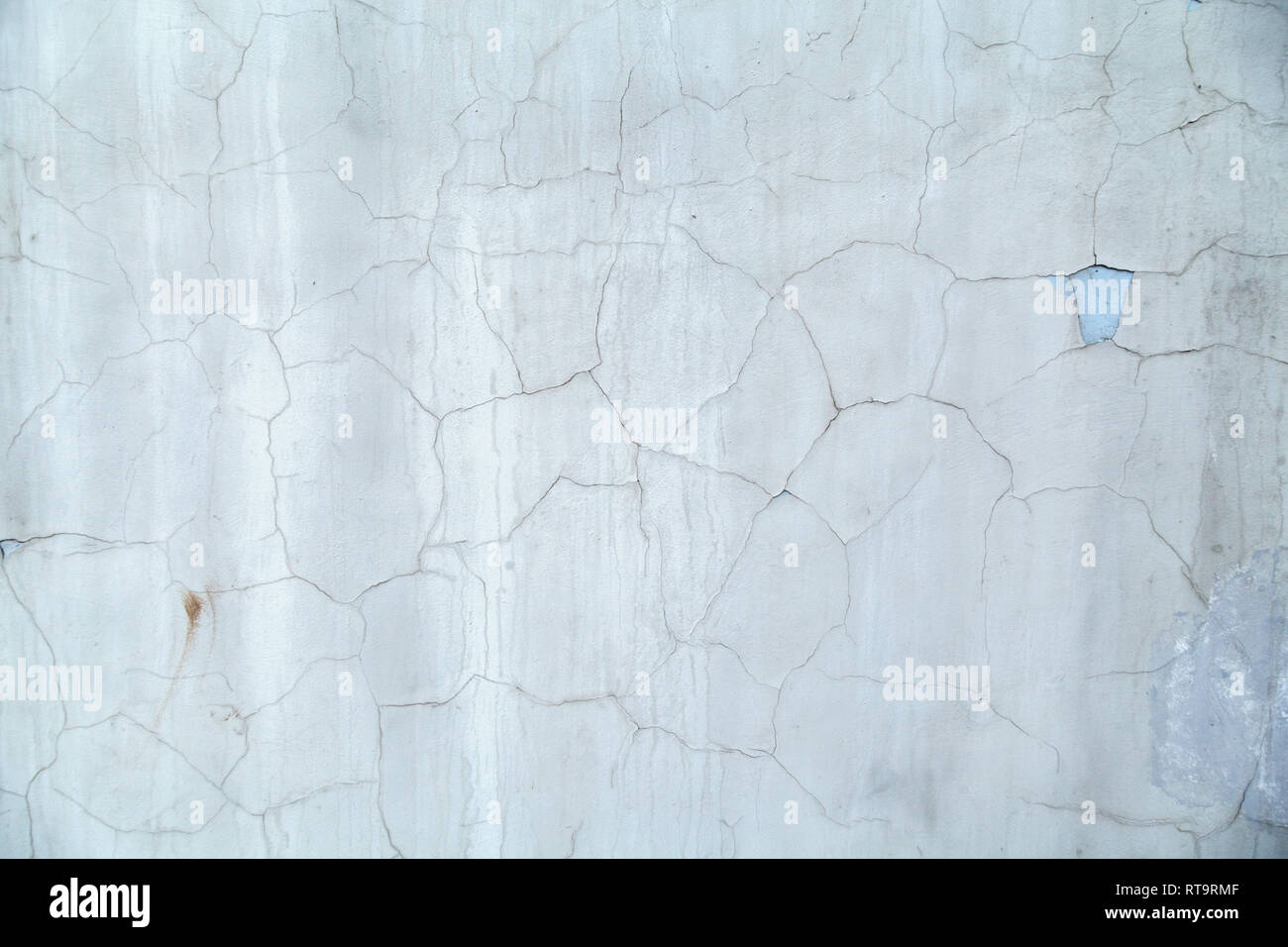 Gray-blue concrete wall is covered with cracked plaster. Cracks on the ...