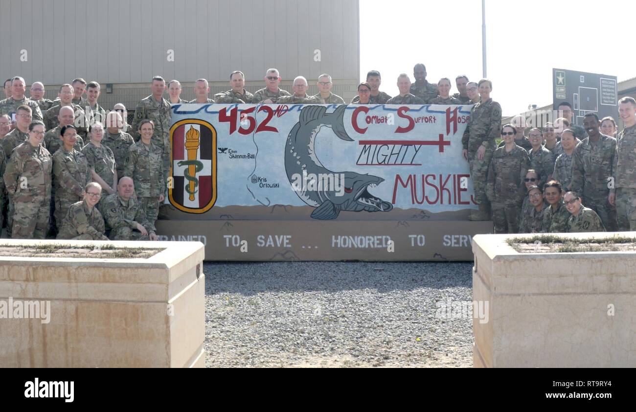 Soldiers of 452d Combat Support Hospital pose around their unit wall at ...