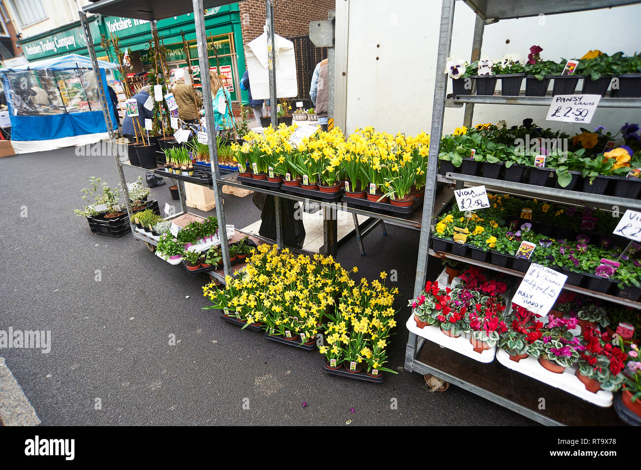 Spring flowers on sale a market stall Stock Photo - Alamy