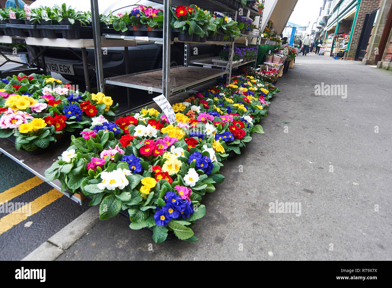 Spring flowers on sale a market stall Stock Photo - Alamy