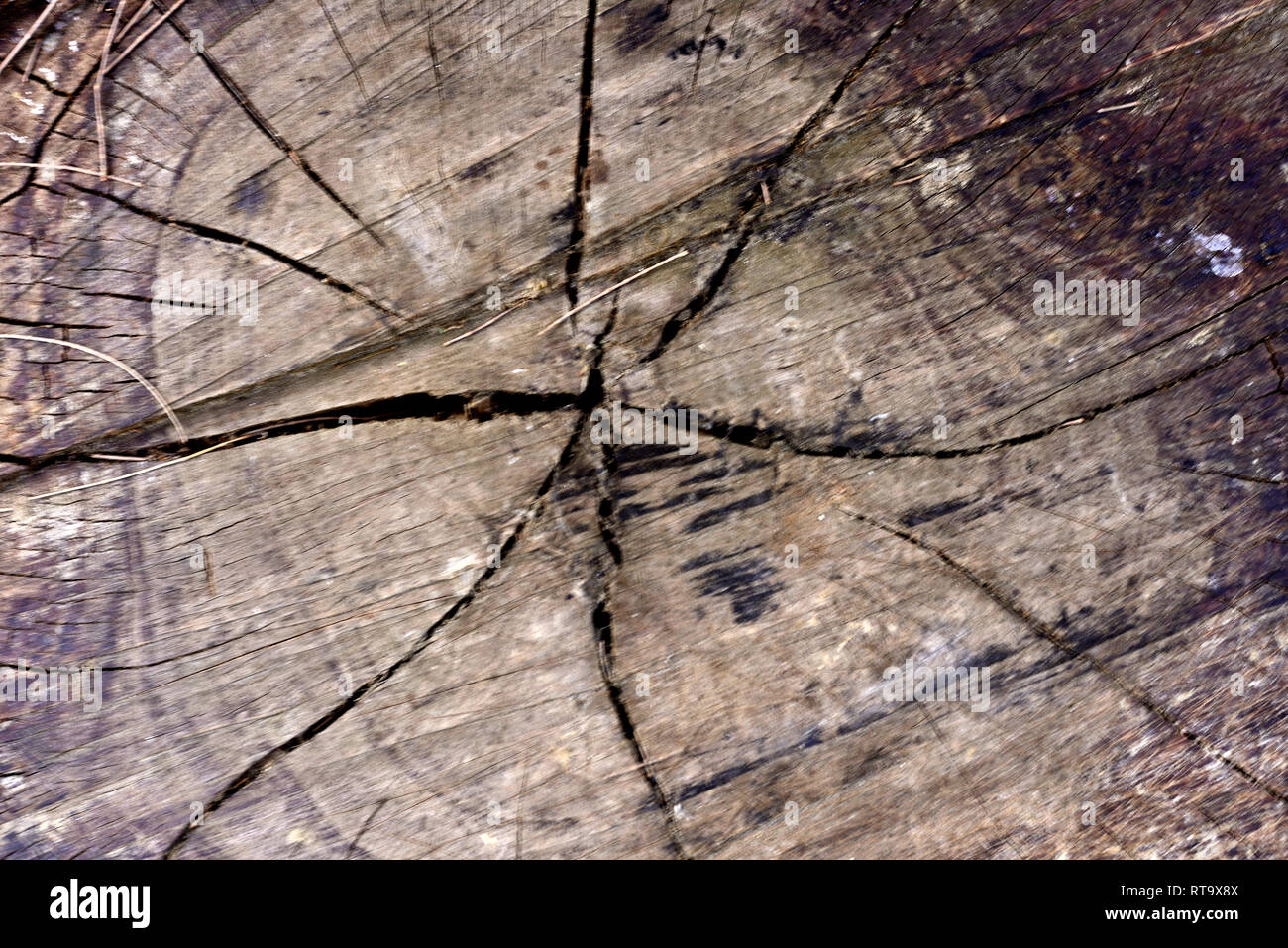 Rough wooden texture background Stock Photo - Alamy