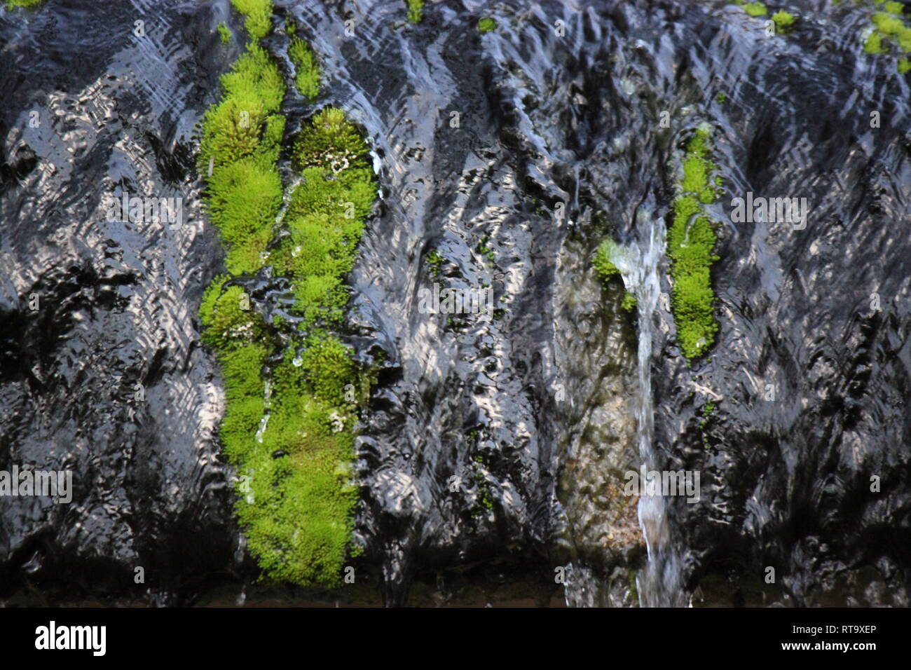 Beautiful small waterfall trickling over a Green moss covered rocky ...