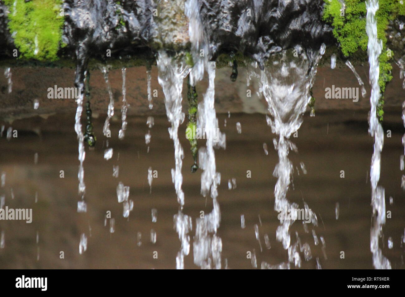 Beautiful small waterfall trickling over a Green moss covered rocky ...