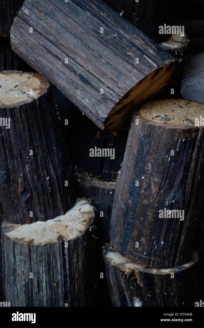 Stack and stump hi-res stock photography and images - Alamy
