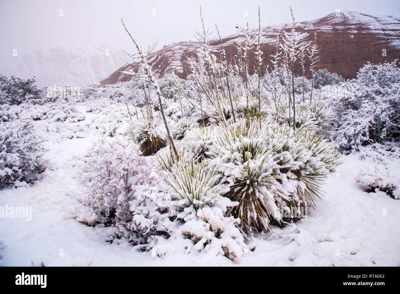 Snow in desert country Stock Photo - Alamy