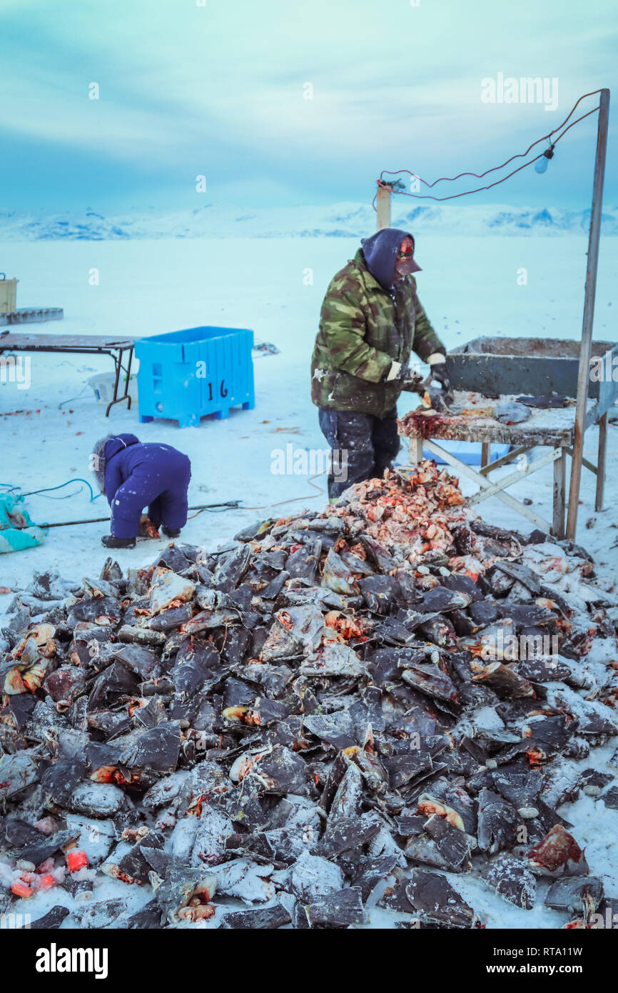 Inuit family fish hi-res stock photography and images - Alamy