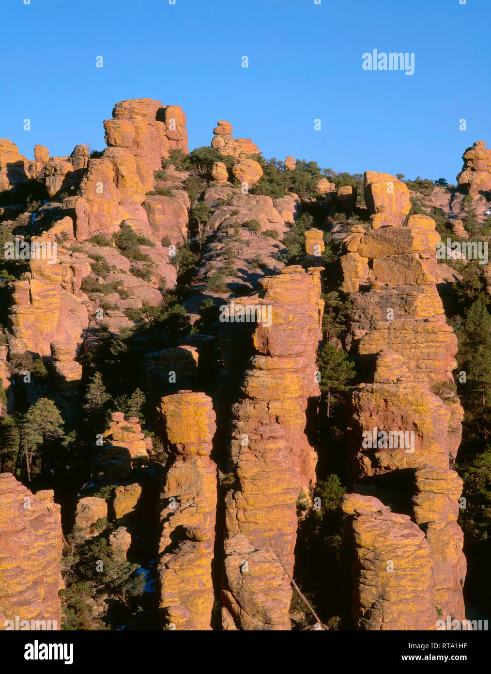 USA, Arizona, Chiricahua National Monument, Evening light on spires and ...