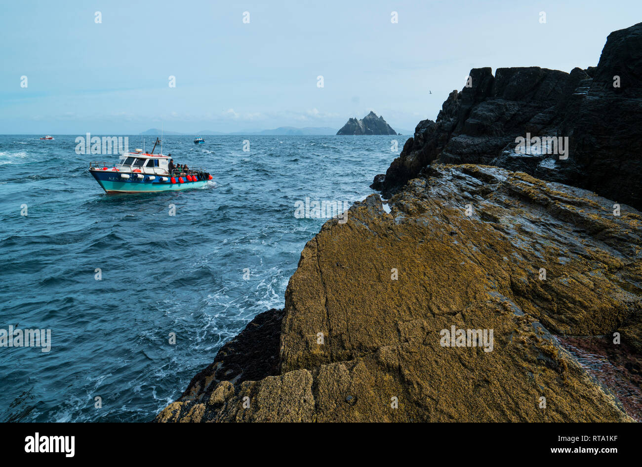 Little Skellig from Skellig Michael, Skelling Islands, County Kerry ...