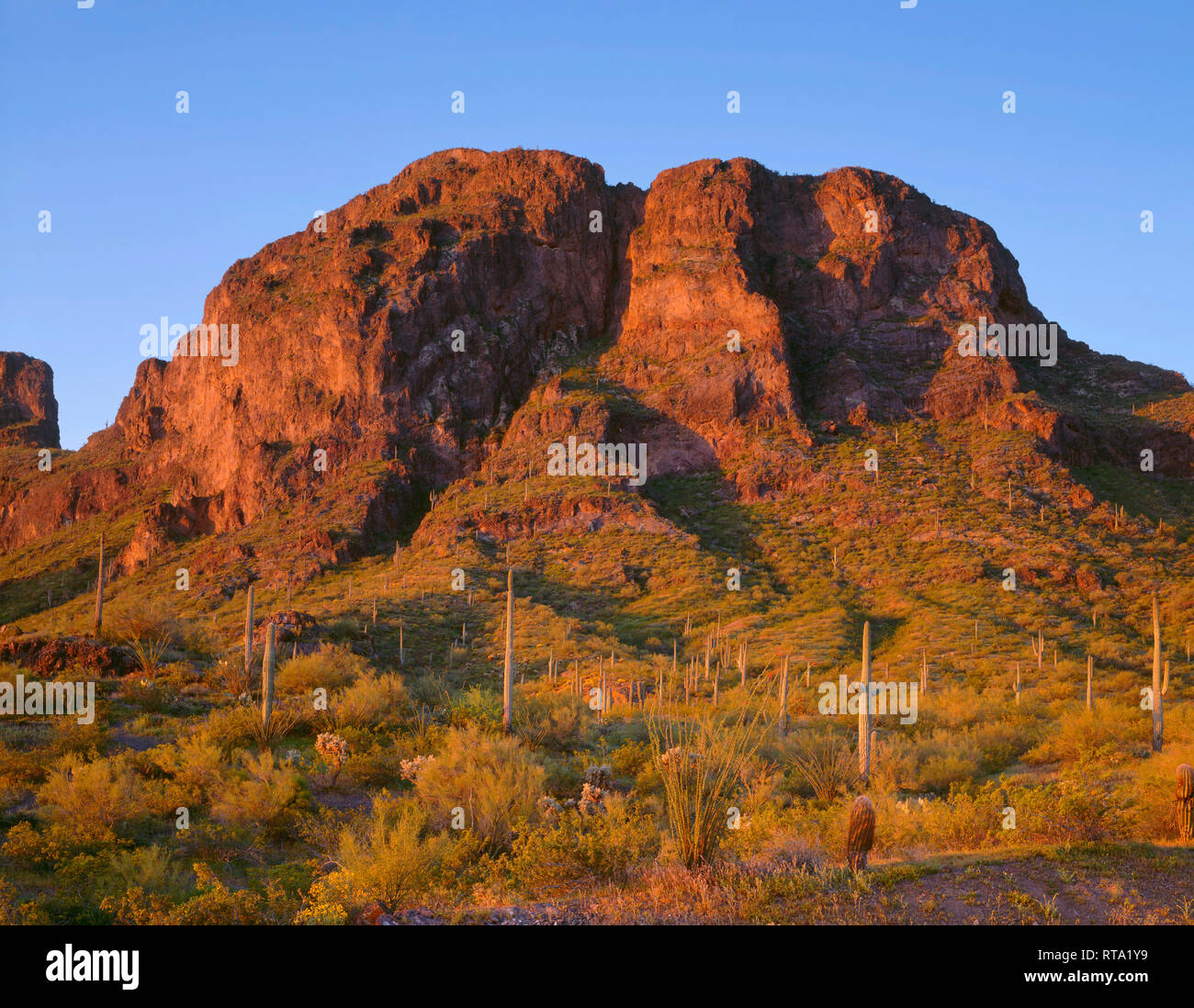 USA, Arizona, Picacho Peak State Park, Sunrise light on steep cliffs ...