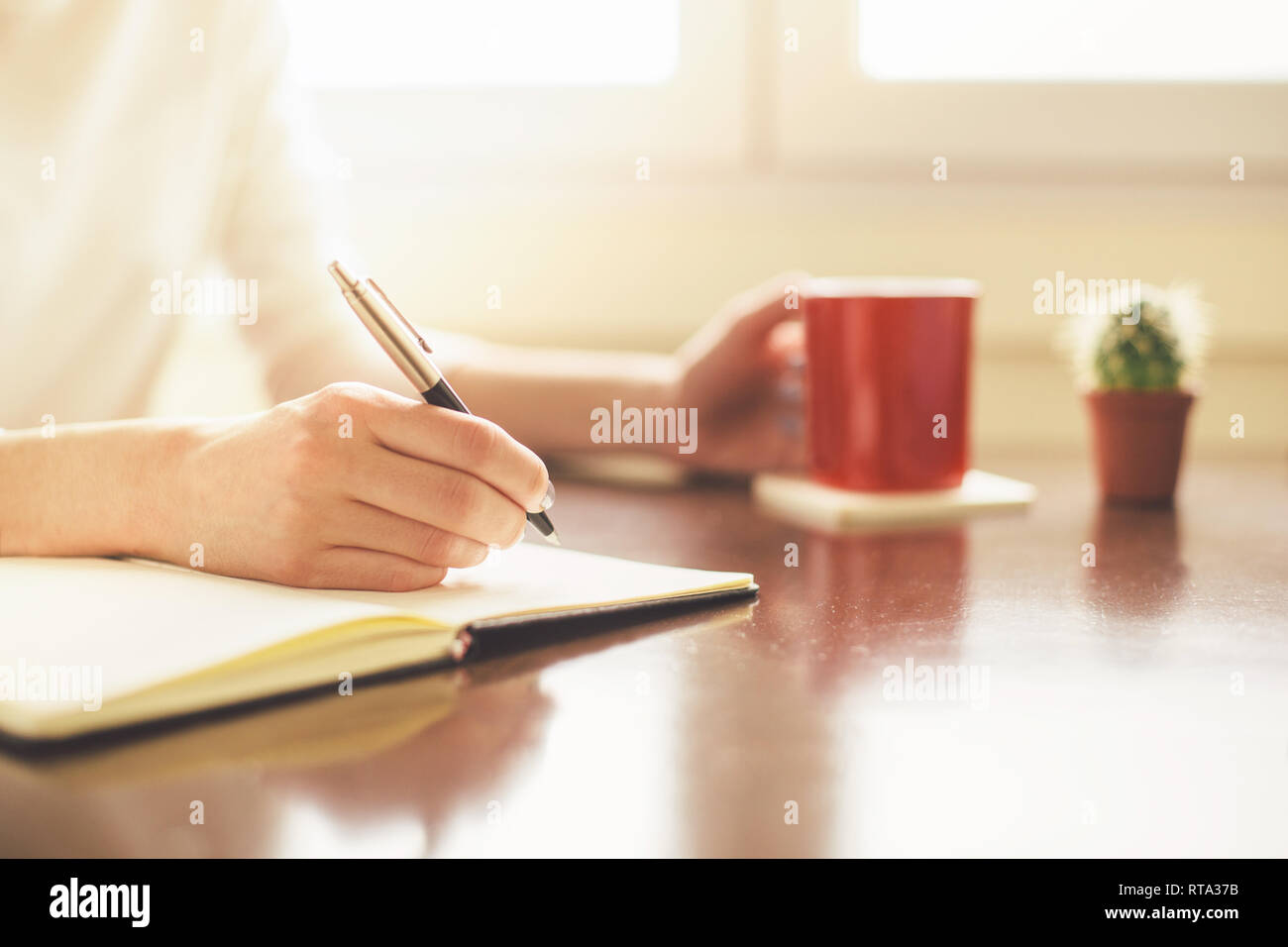 Close up of female hands writing on notebook. Easing into writing with ...
