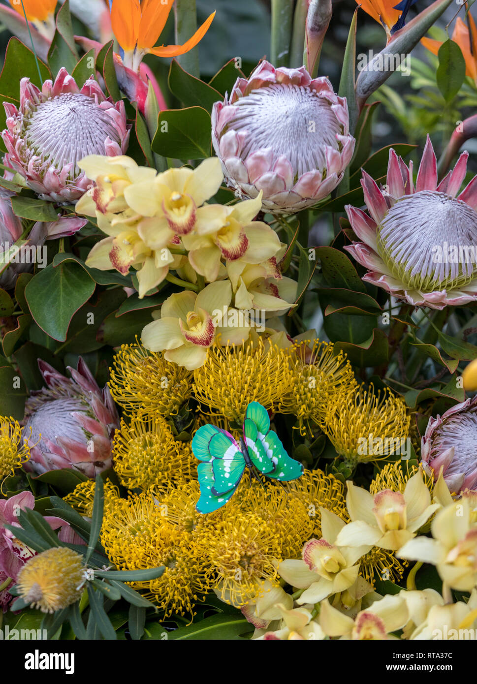 Beauty floristic decoration with colorful tropical flowers Stock Photo ...