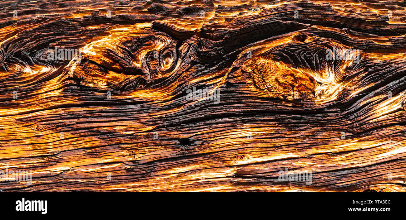 Close-up of an old, strongly textured wooden plank with warped ...
