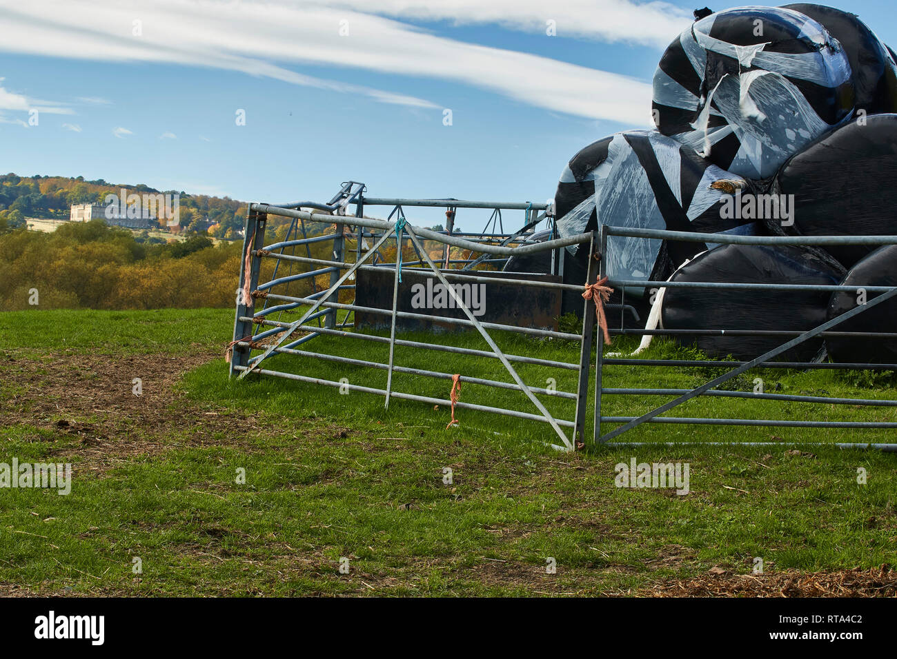 Black plastic wrapped silage with farm gate in the landscape of South ...