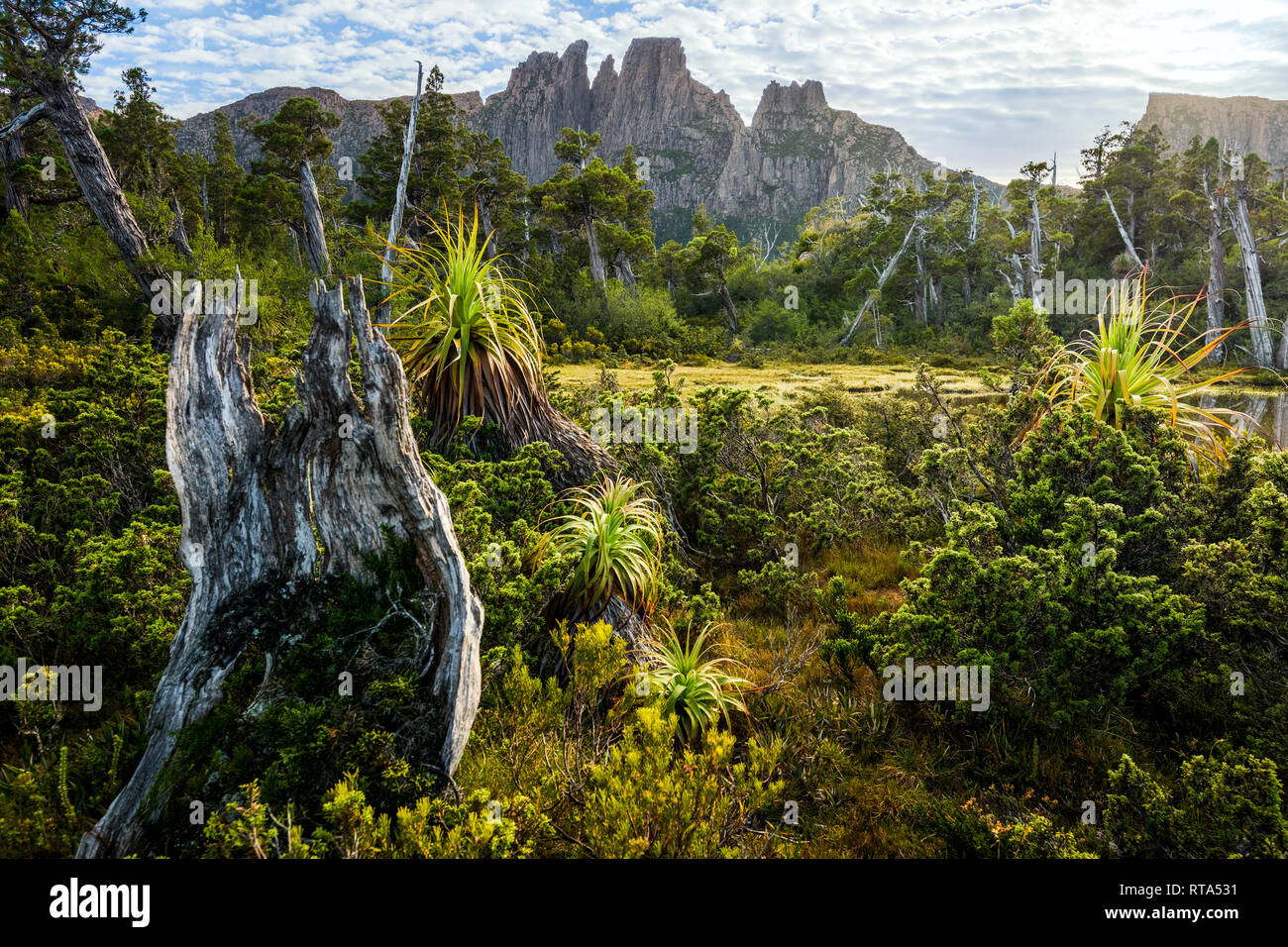Sunrise over Mount Geryon in Cradle Mountain–Lake St Clair National ...