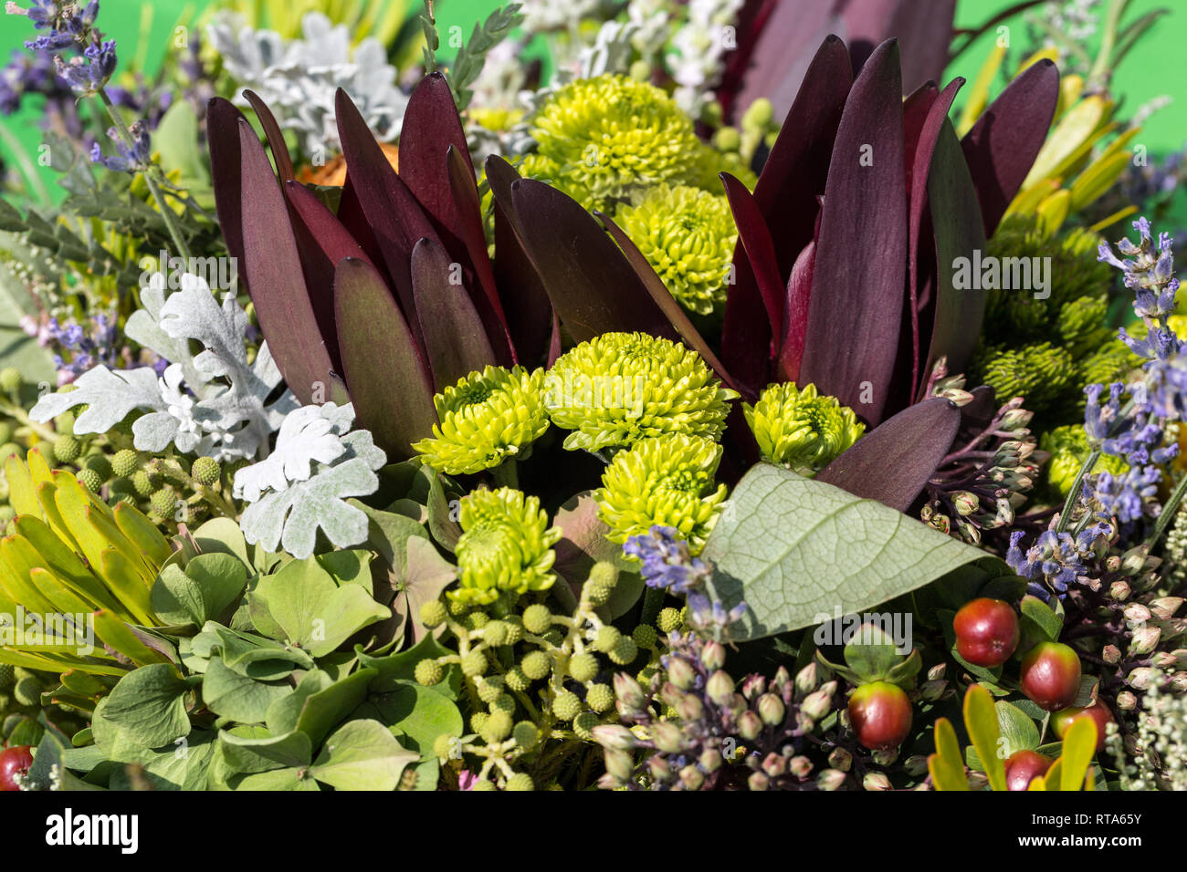 beautiful bouquets of flowers and herbs Stock Photo - Alamy