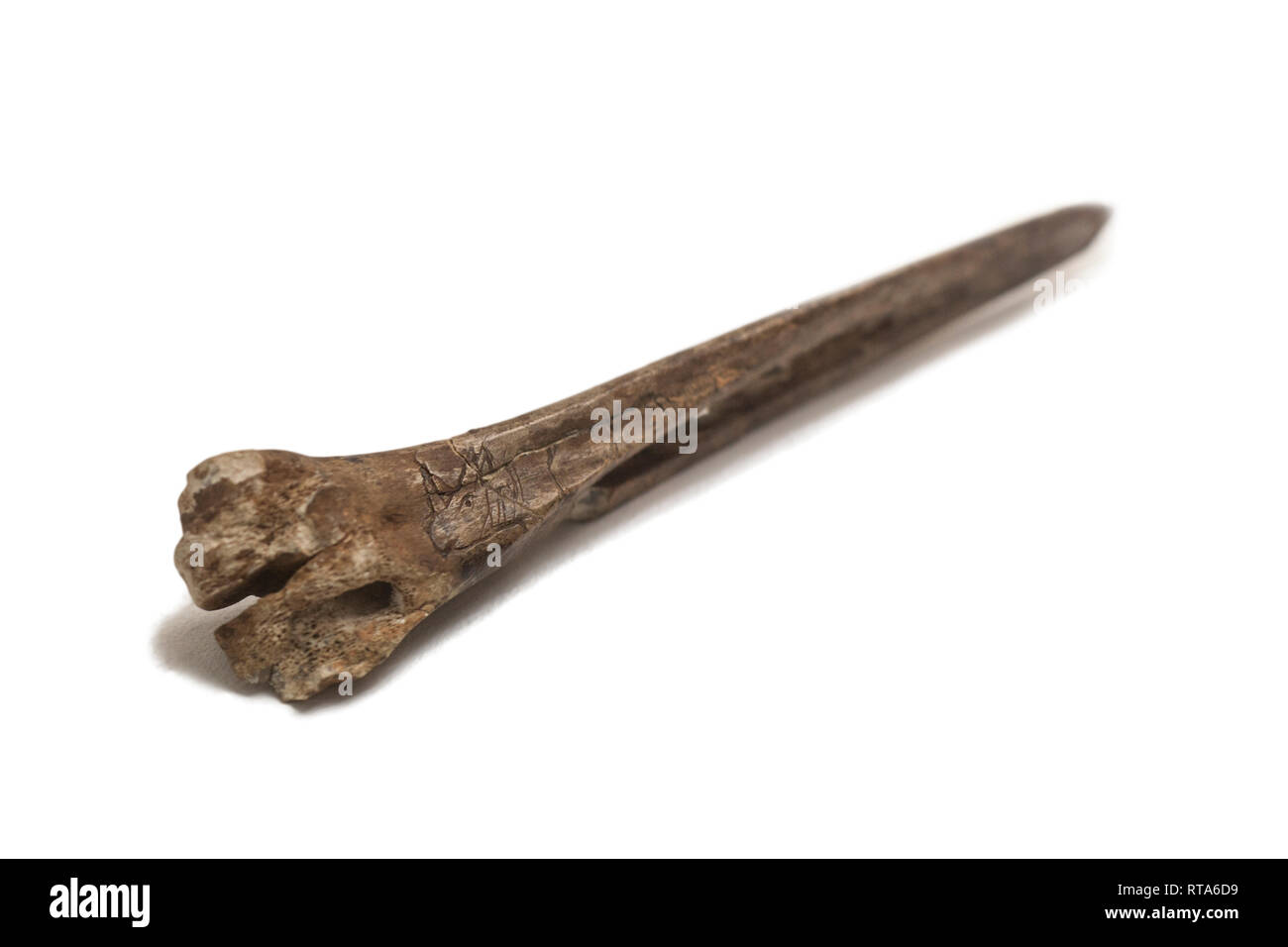 Evolution of artefacts Cut Out Stock Images & Pictures - Alamy
