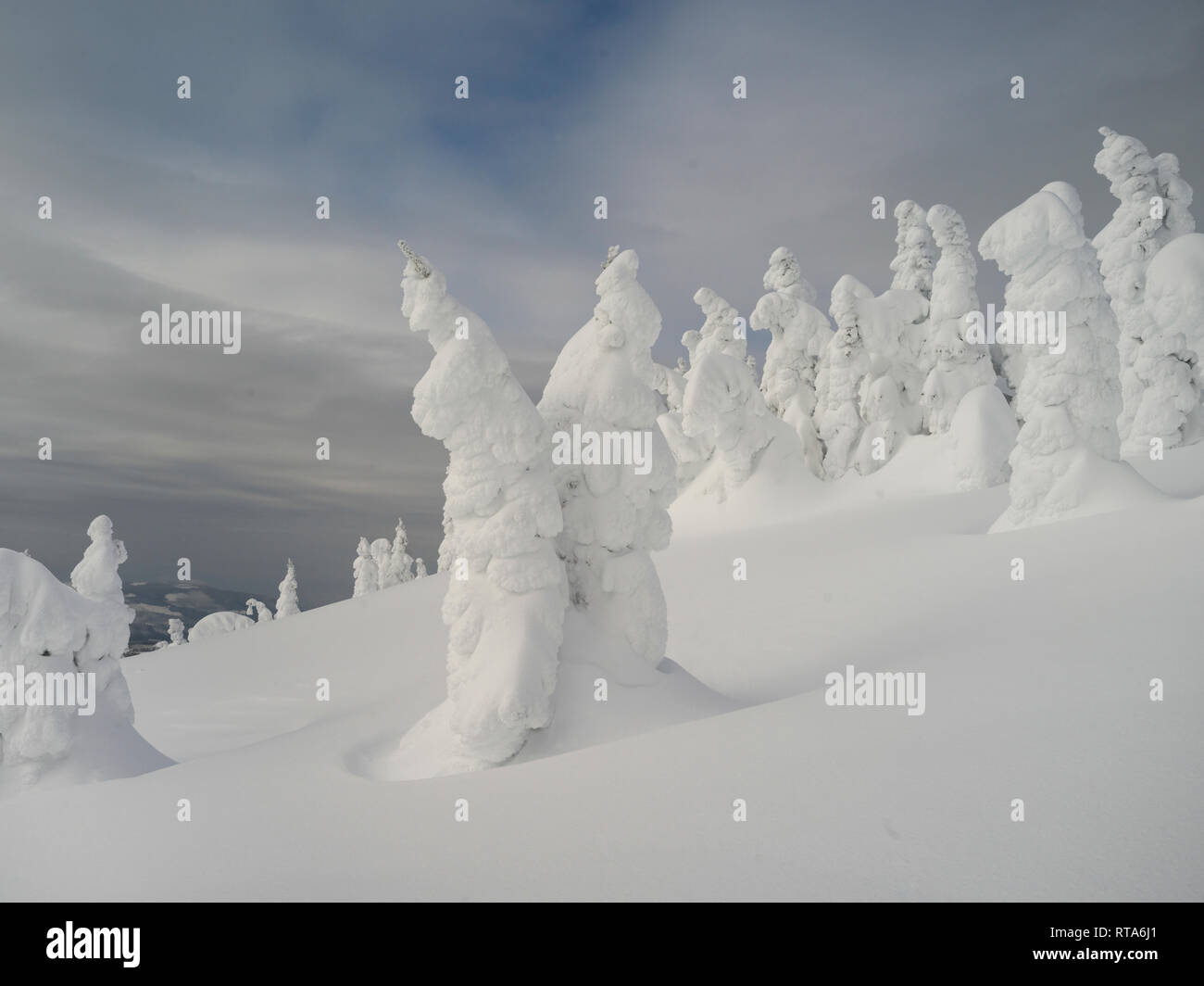 Canada snow ghost hi-res stock photography and images - Alamy