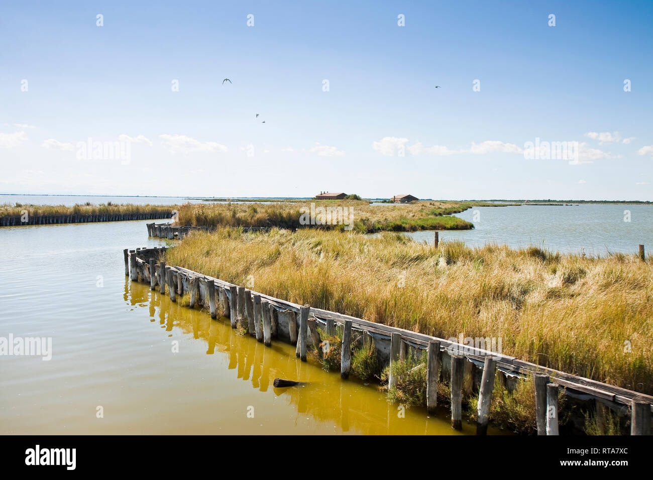 The Comacchio valleys (Italy) are known worldwide for eel fishing ...