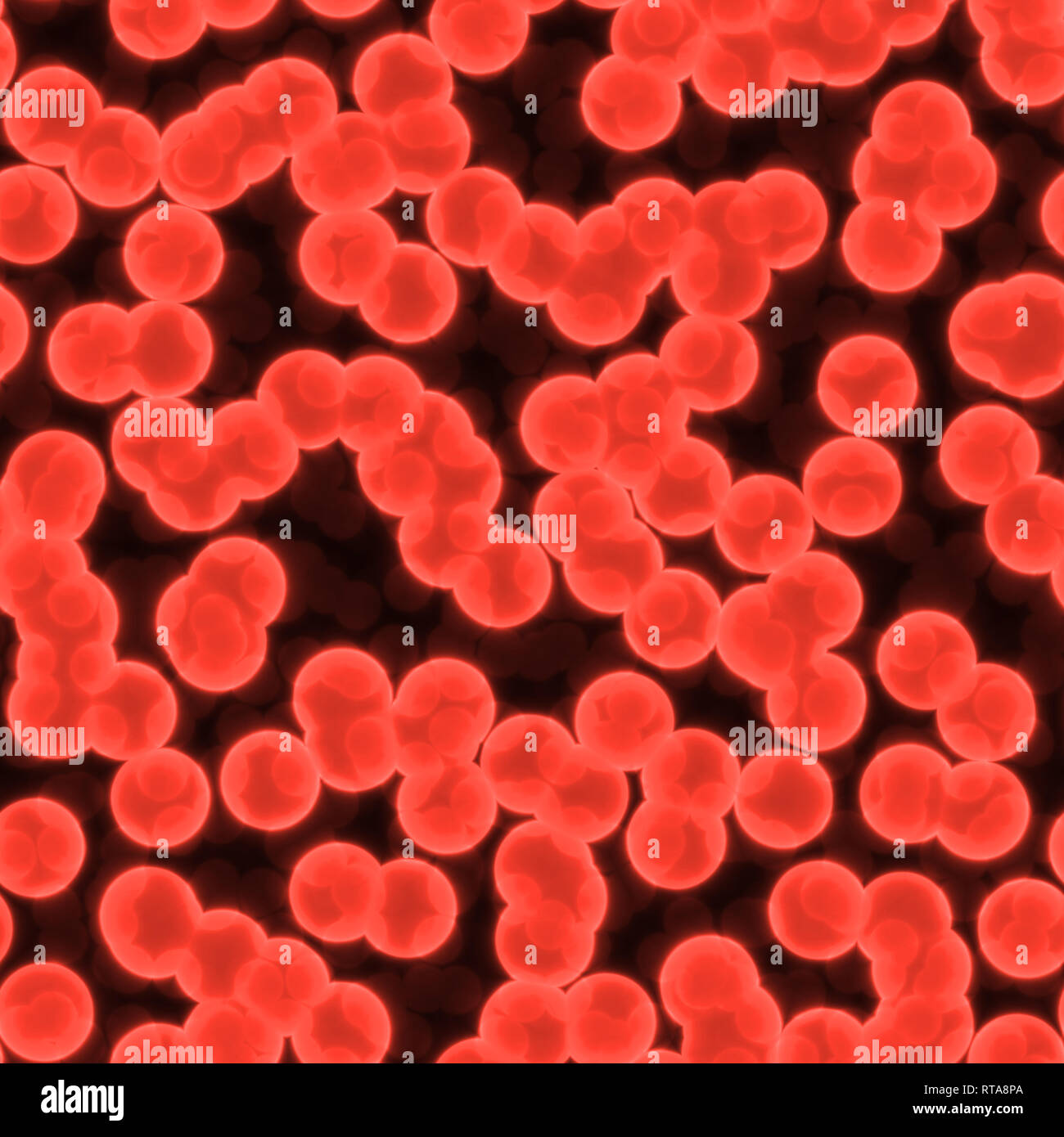 Red Blood Cells Microscope Labeled