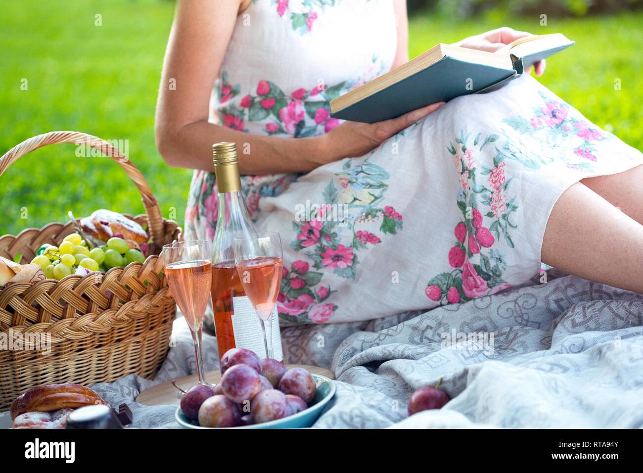 Summer - picnic in the meadow. girl sitting reading a book and near a ...