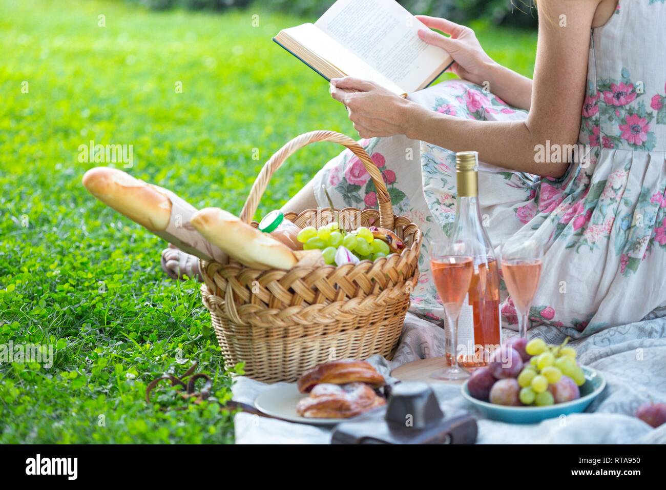 Summer - picnic in the meadow. girl sitting reading a book and near a ...