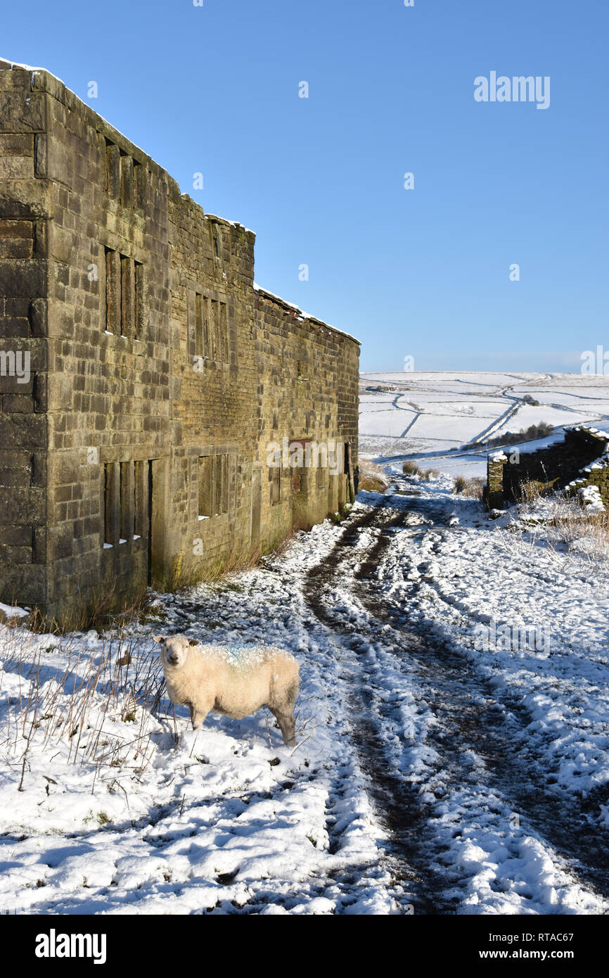 Barn in Winter Snow, Hebden Bridge, Calderdale, West Yorkshire Stock ...