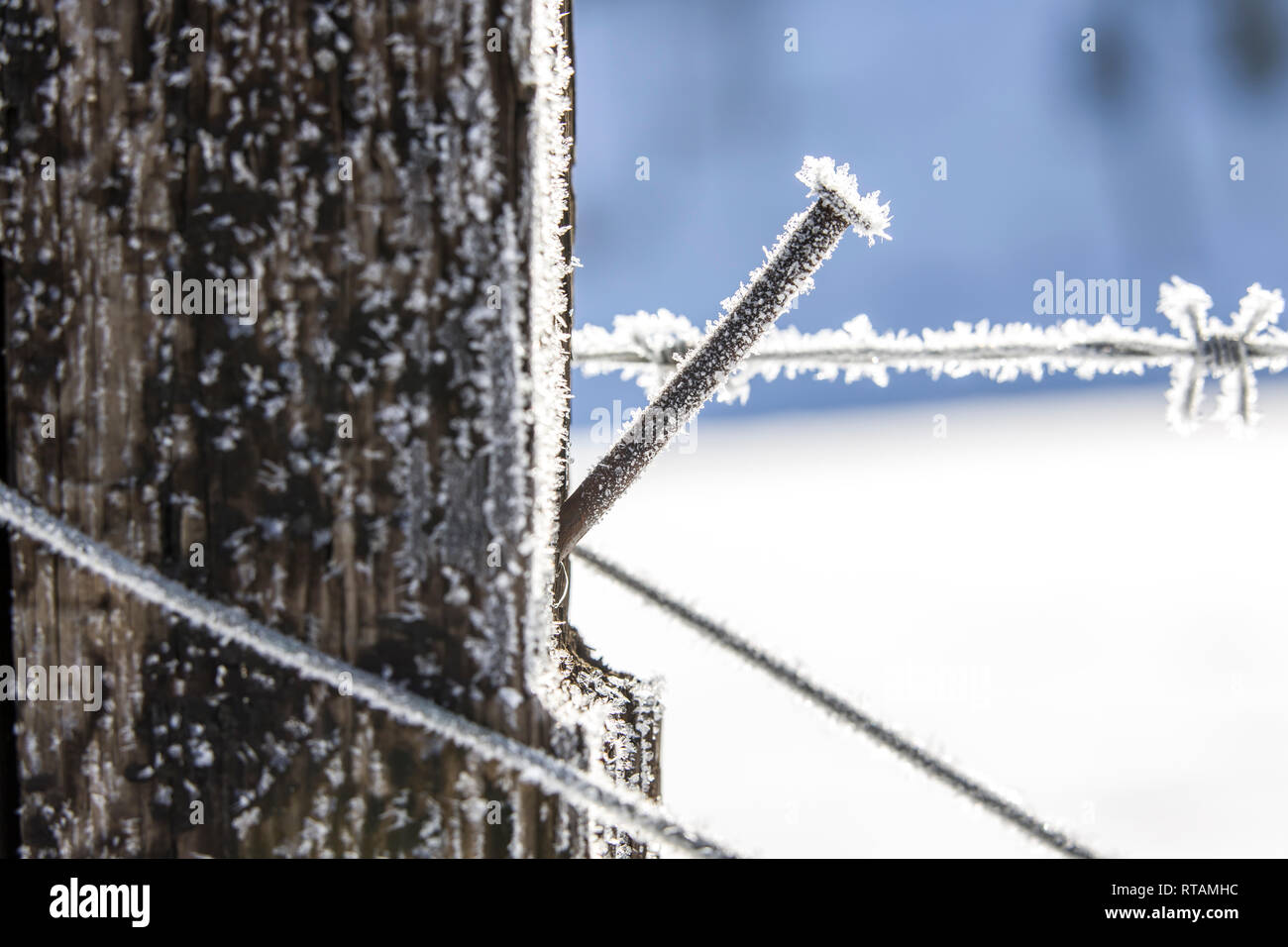 A macro photo of hoar frost on barbed wire near Coeur d'Alene, Idaho ...