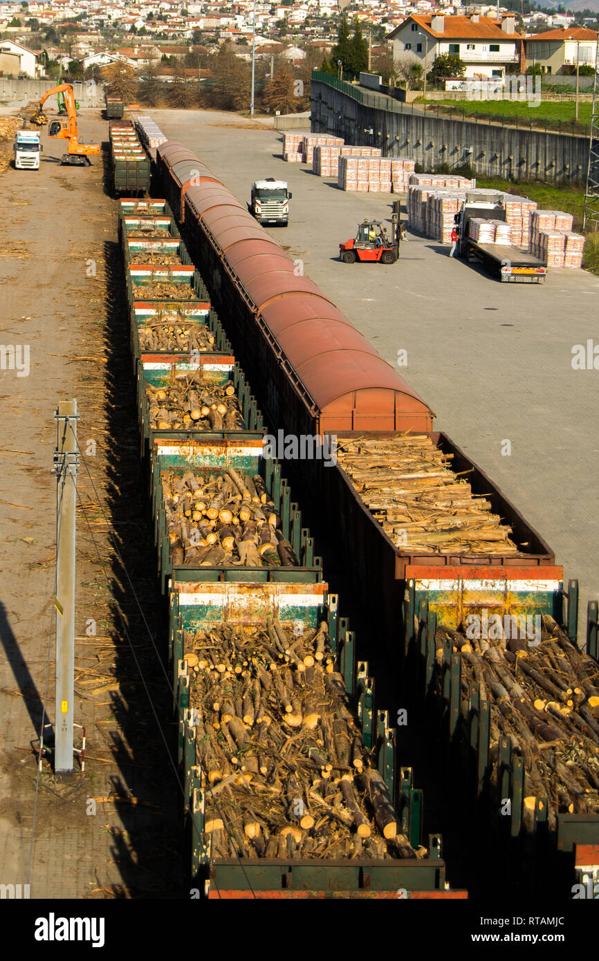 Wood process industry Stock Photo - Alamy