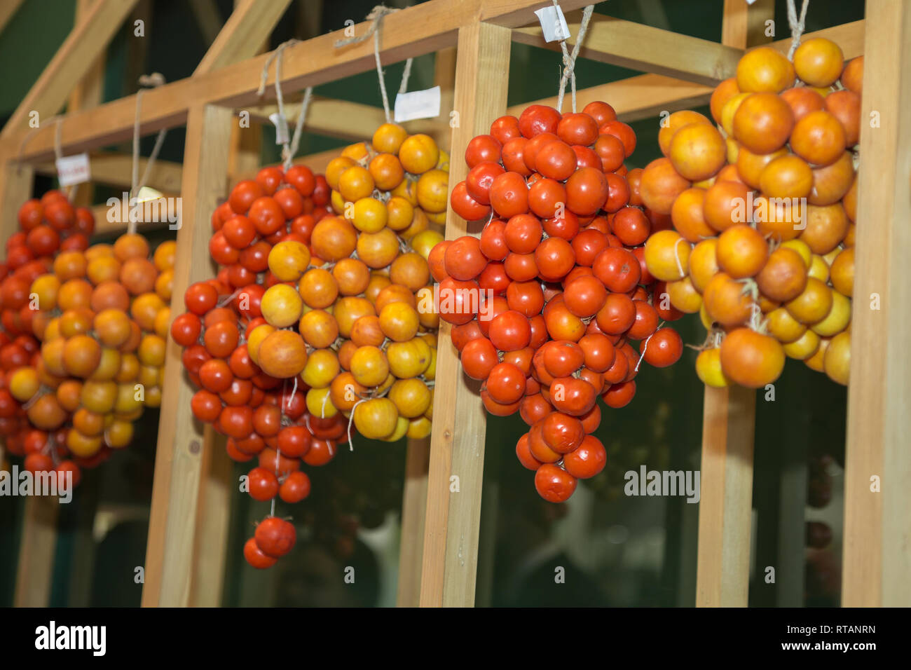 Set of Yellow and Orange Cherry Tomatoes Grouped in Clusters and Hung ...