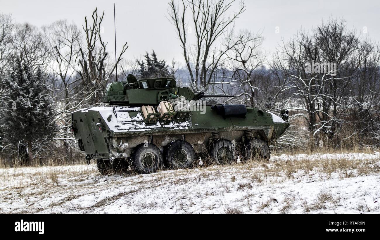 25mm Bushmasters mounted on the Light Armored Vehicle-25 (LAV-25) fired ...