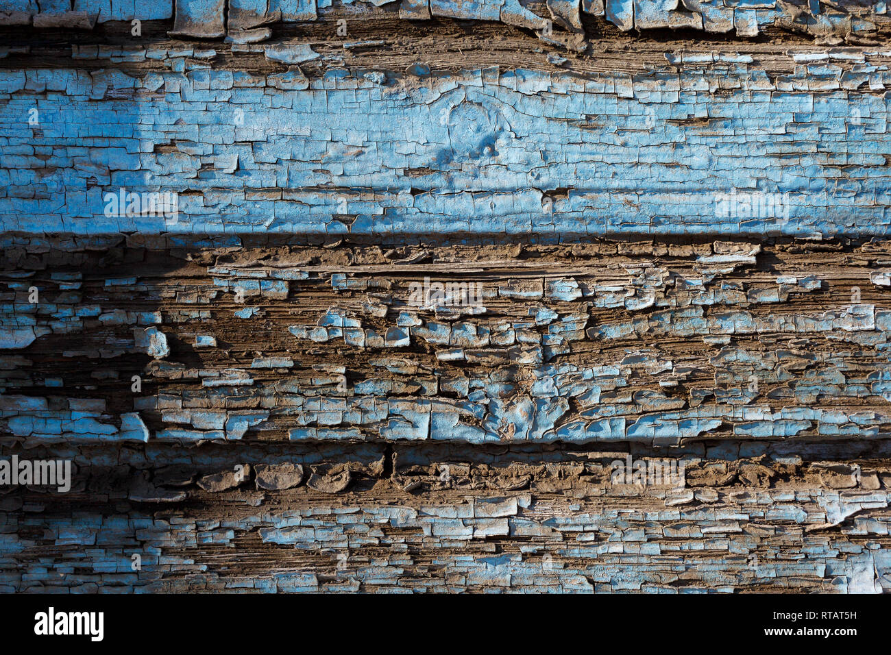 Old painted blue board with peeled off paint. Texture of wood structure ...