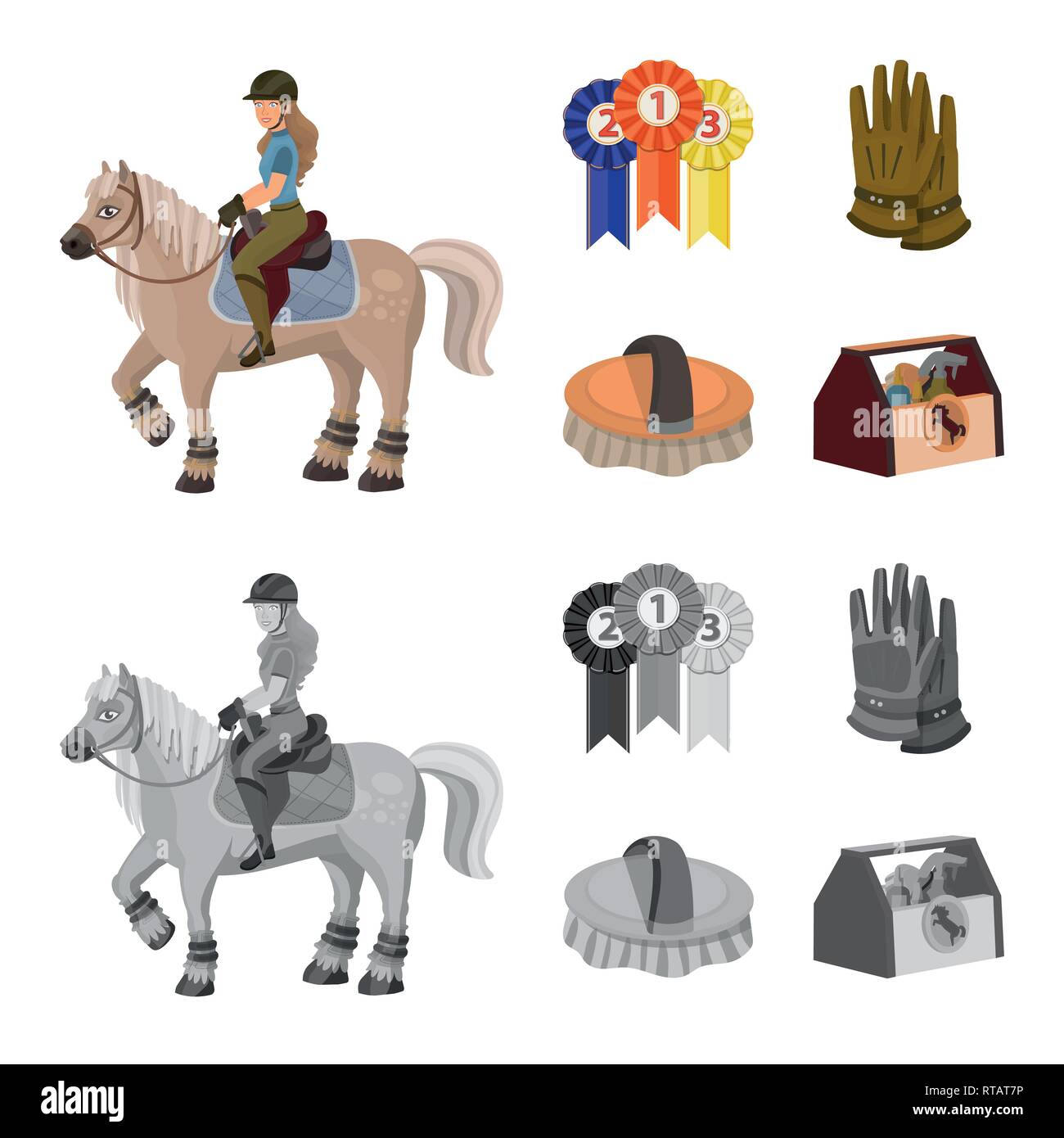 Vector design of equipment and riding symbol. Set of equipment and ...