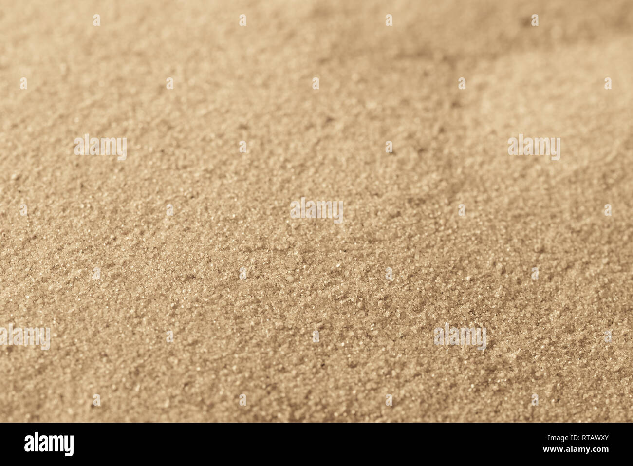 Selective focus golden sandy hi-res stock photography and images - Alamy