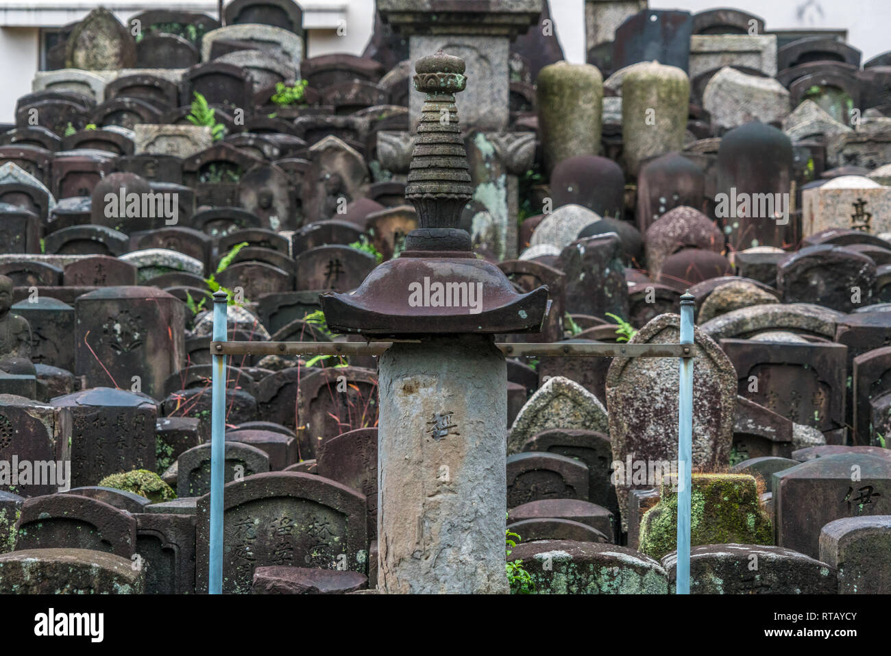 Shimogyo Ward, Kyoto, Japan - November 08, 2017 : Old Cemetery at Sosen ...