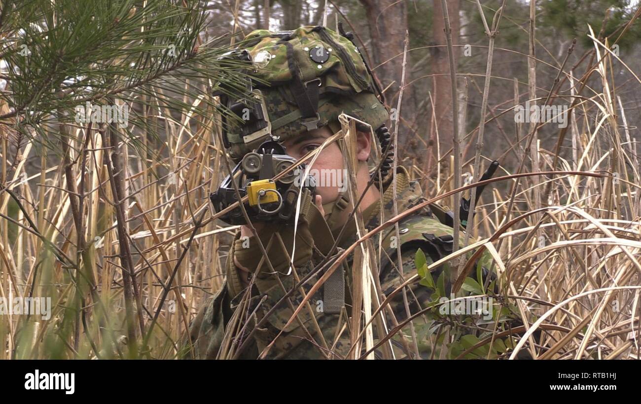 Thetford area team hi-res stock photography and images - Alamy