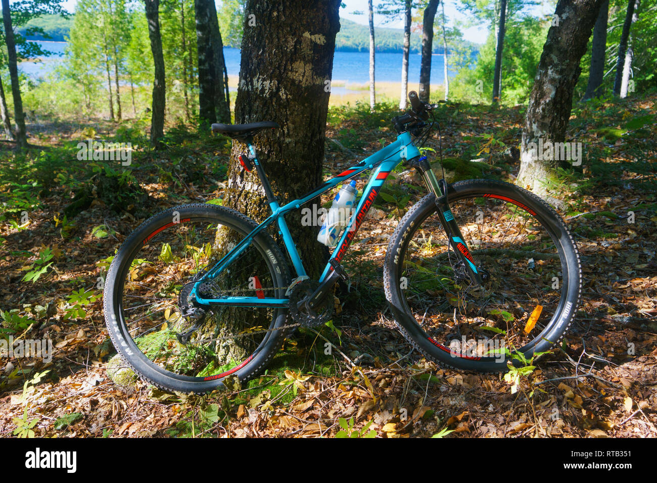 Mountain bike leaning against a tree in the forest with a lake partly ...