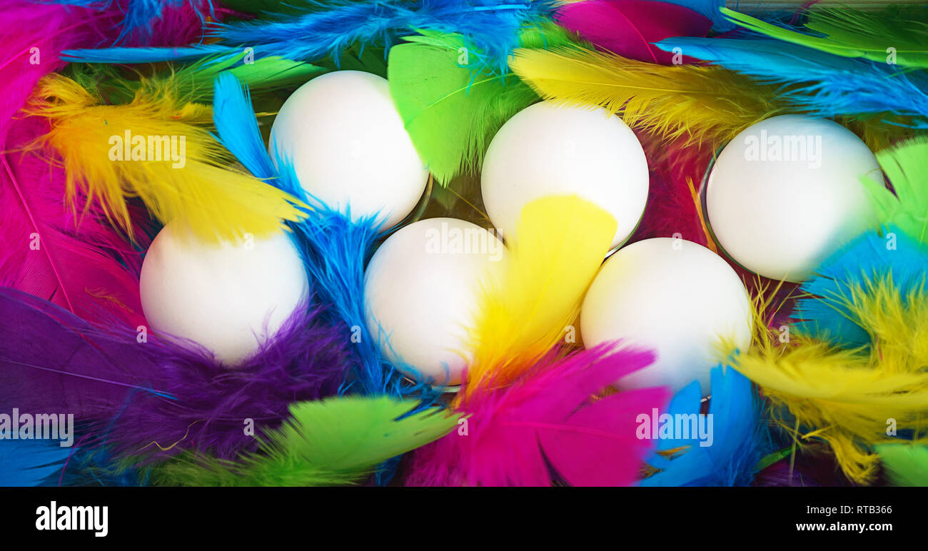 Creative layout made of white chicken eggs in wooden box with colorful ...