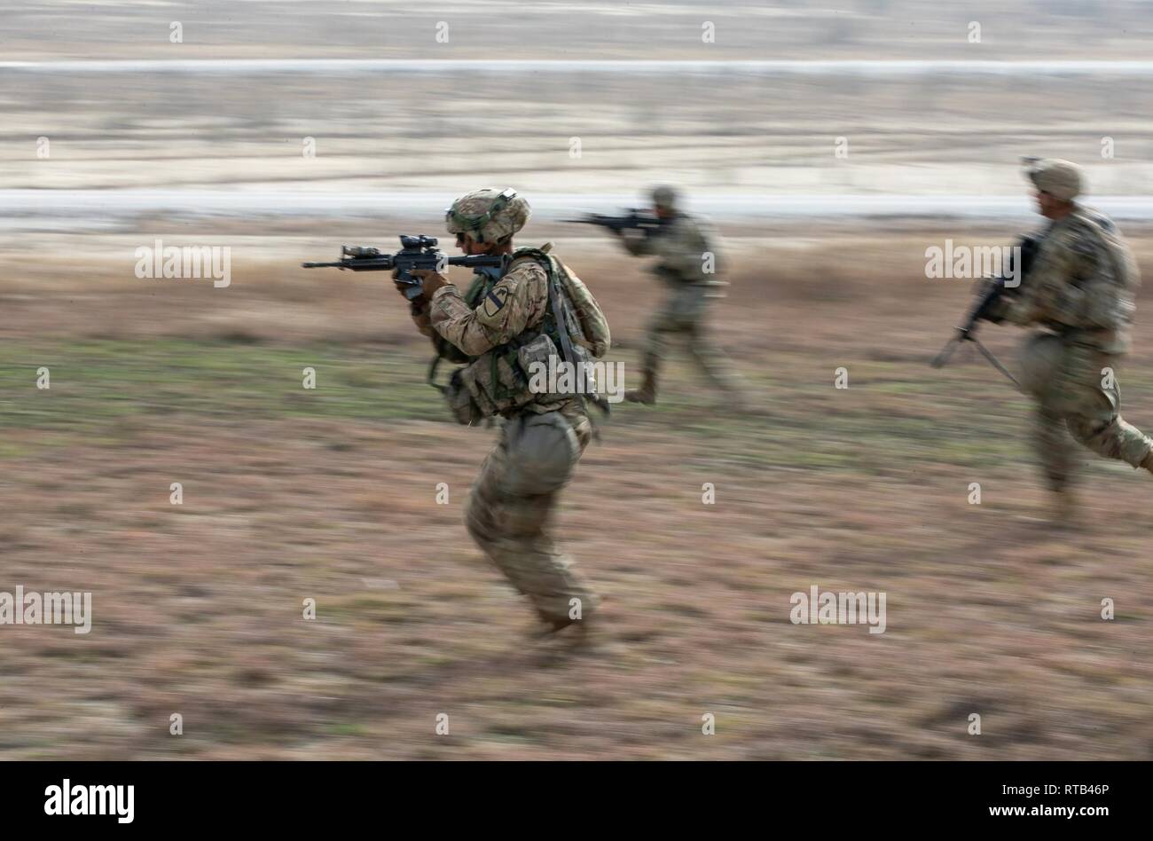 Calfex hi-res stock photography and images - Alamy