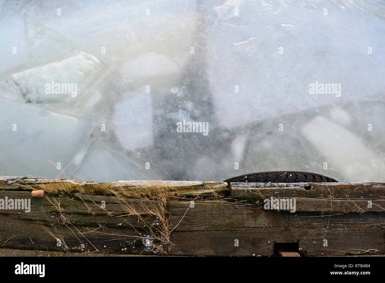 Ice covering a harbor bay in winter is shimmering in the light of the ...