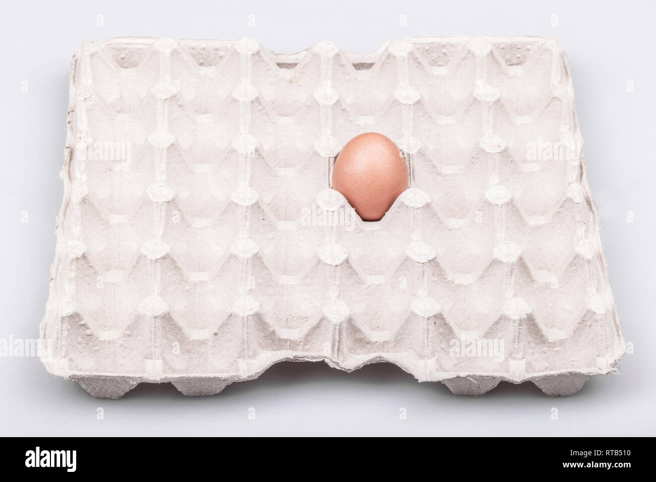 egg box on white background with one egg Stock Photo - Alamy