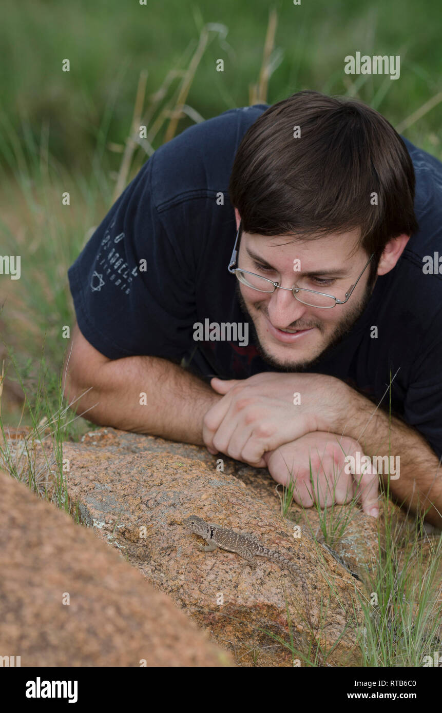 Man lizard hi-res stock photography and images - Alamy