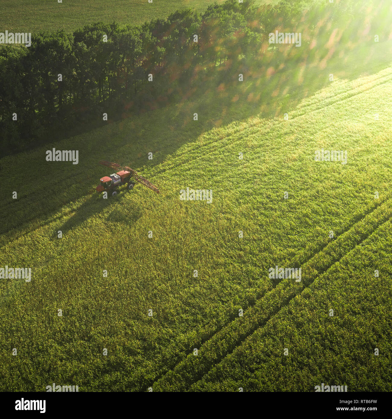 Agricultural machinery in the field. Tractor with a sprayer. Aerial ...
