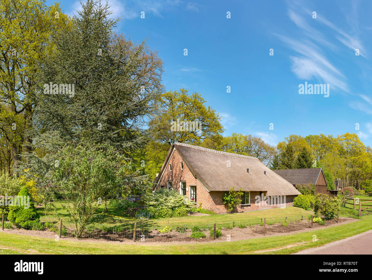 Farmhouse with trees all around Stock Photo - Alamy