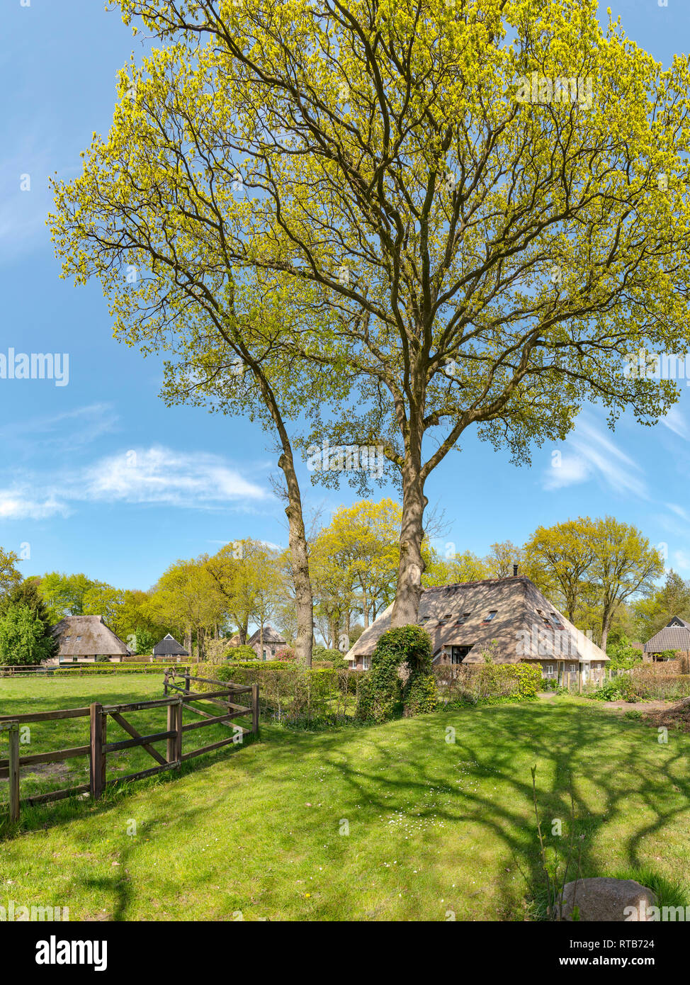 Farmhouse with trees all around Stock Photo - Alamy