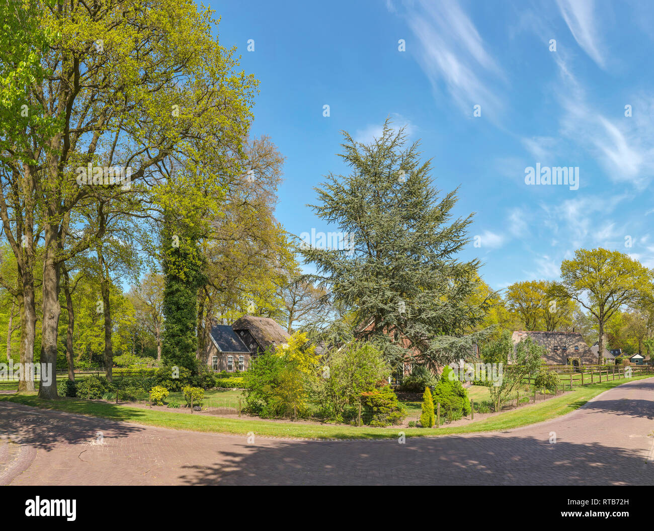 Farmhouse with trees all around Stock Photo - Alamy