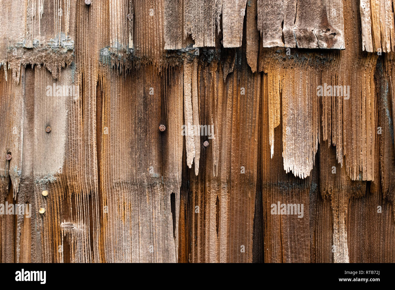 A close up of weathered, rotting and broken wooden cladding Stock Photo ...