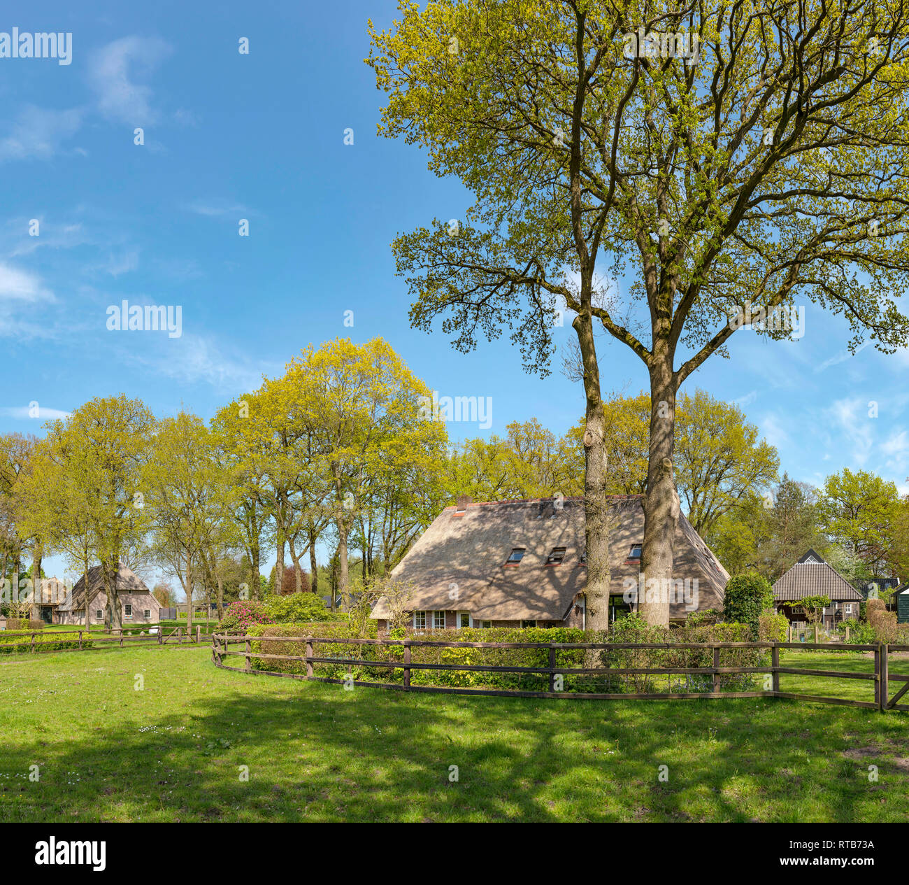Farmhouse with trees all around Stock Photo - Alamy